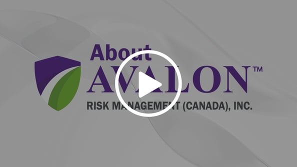 Avalon | Canadian Customs Bonds